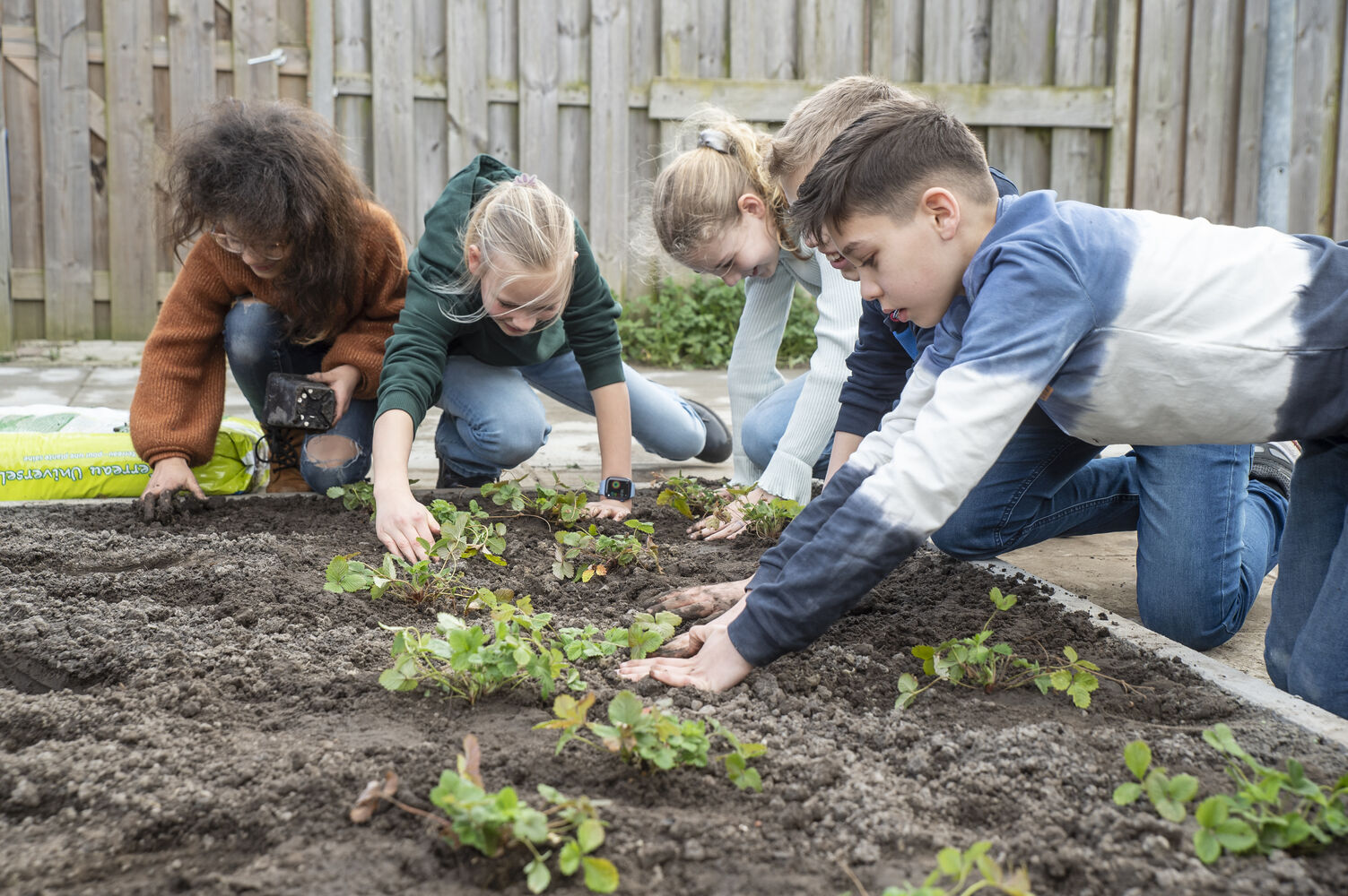 Leerlingen CBS de Bron helpen bij vergroenen plein Jupiterhof in Oude ...